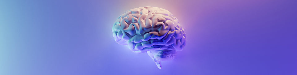 Rethink dental. Think Redent. | redent GmbH